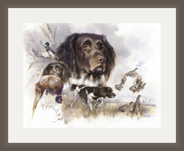 Munsterlander Bird Dog hunting author's print, heidewachtel ...