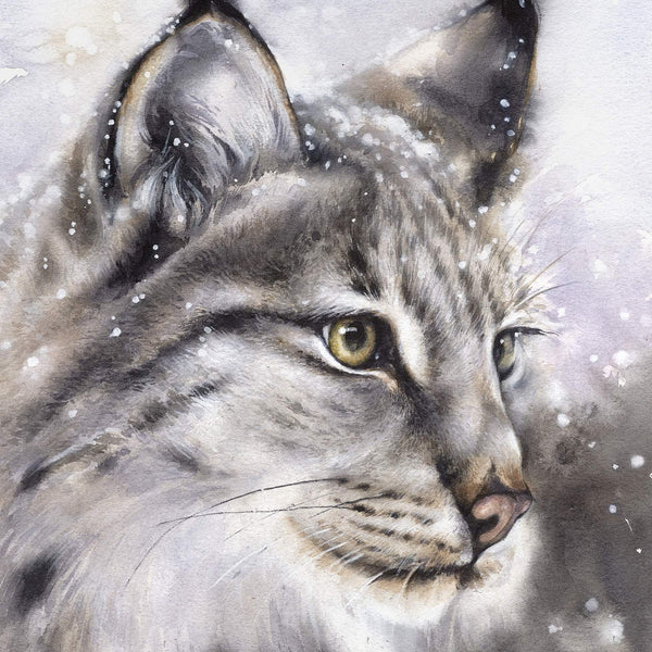 "Lynx" author's sign print, animal wall art, animal art, animal print ...