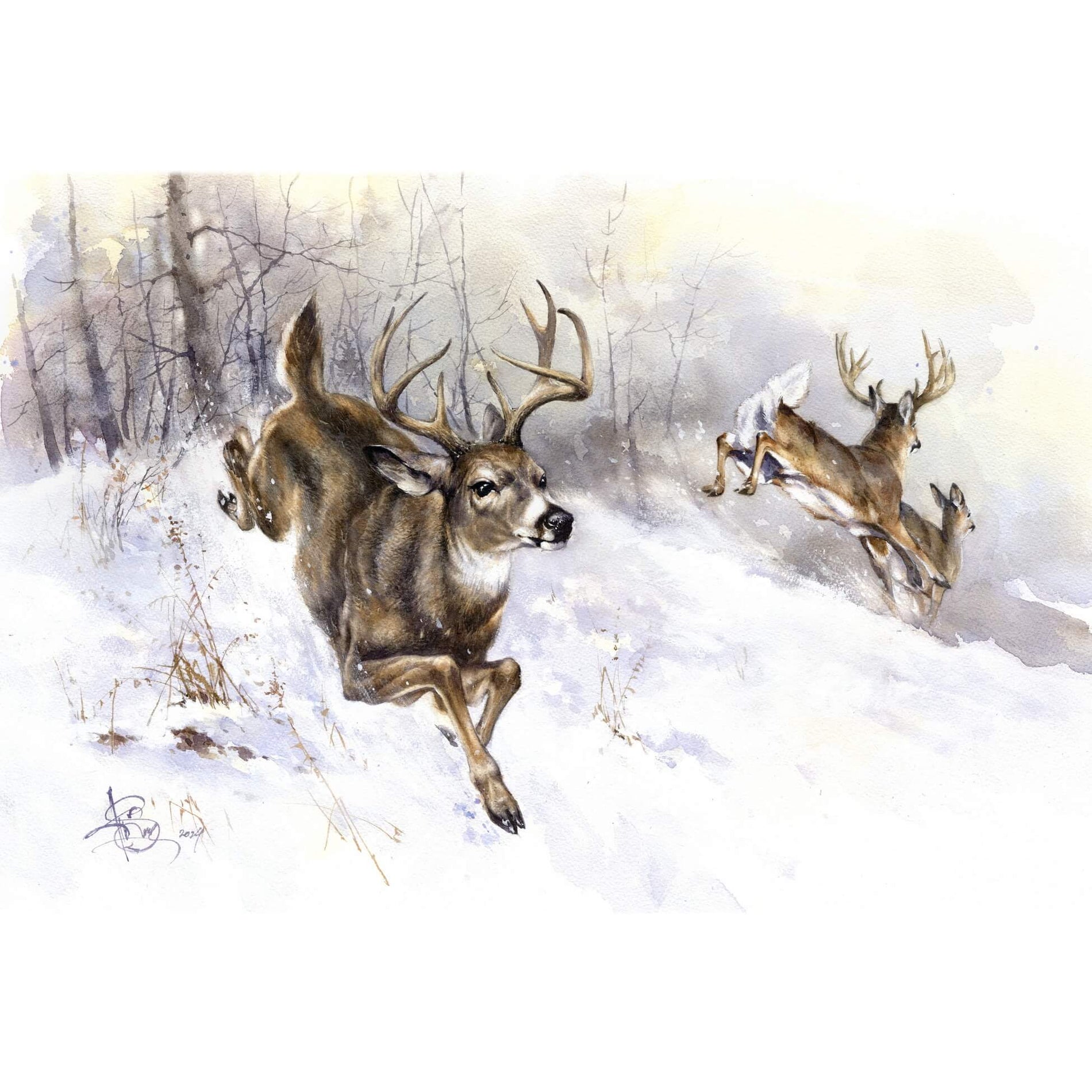 Author's print “Classical hunting” art print, animal art, hunting art ...