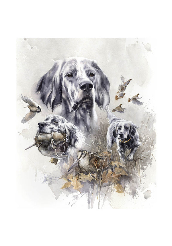 English Setter.Woodcock hunting author's print,dog art,setter portrait ...
