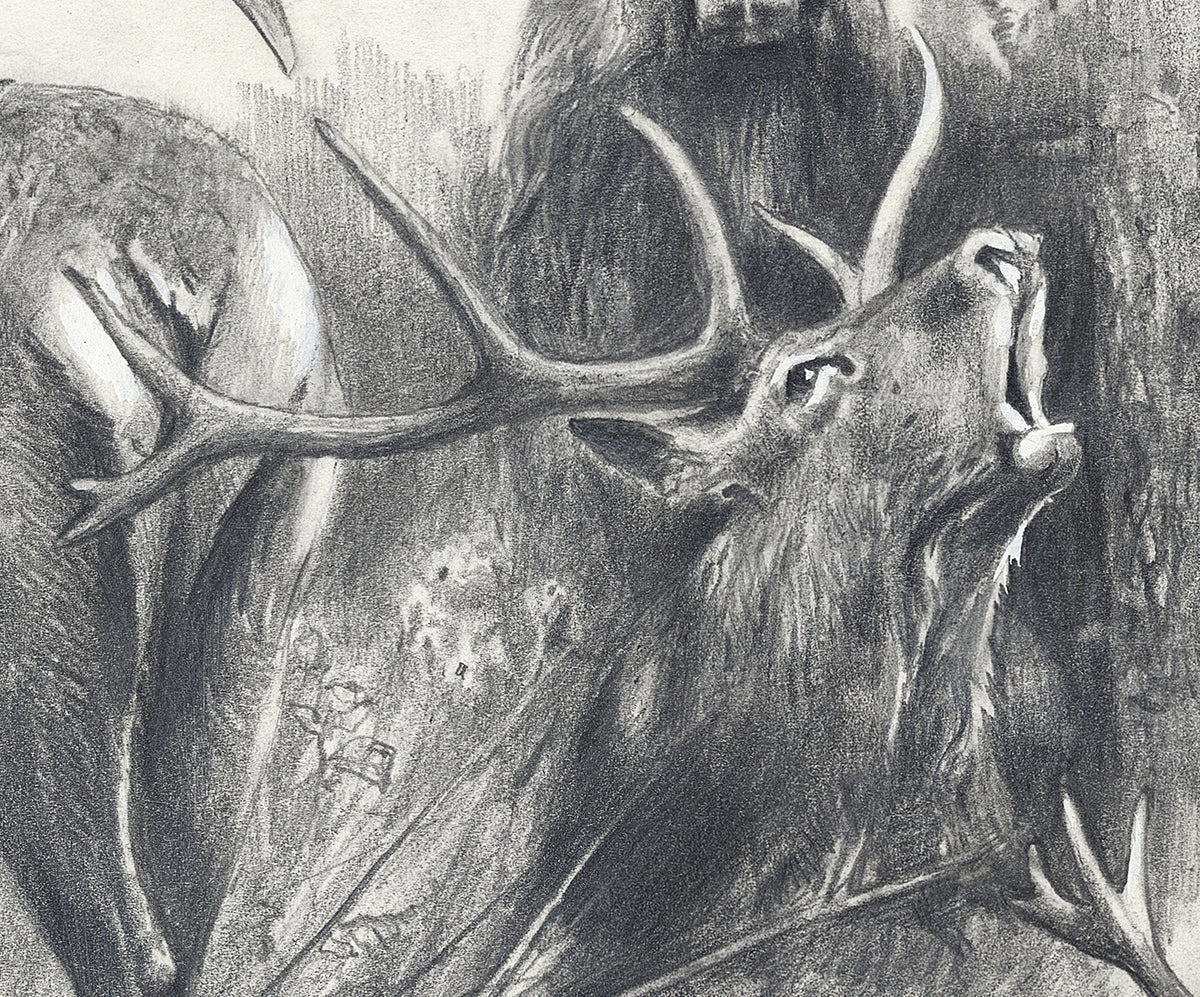 Author's signed print ""European Roe Deer". - Siurha Art