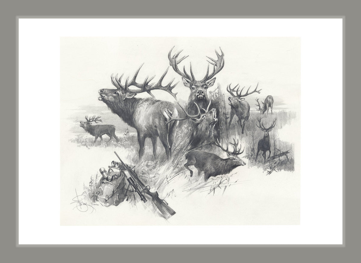 Author's signed print ""European Roe Deer". - Siurha Art