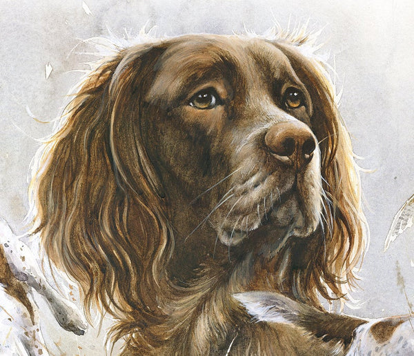 Author's print "Munsterlanders. My hunting friends", Munsterlander Bird ...