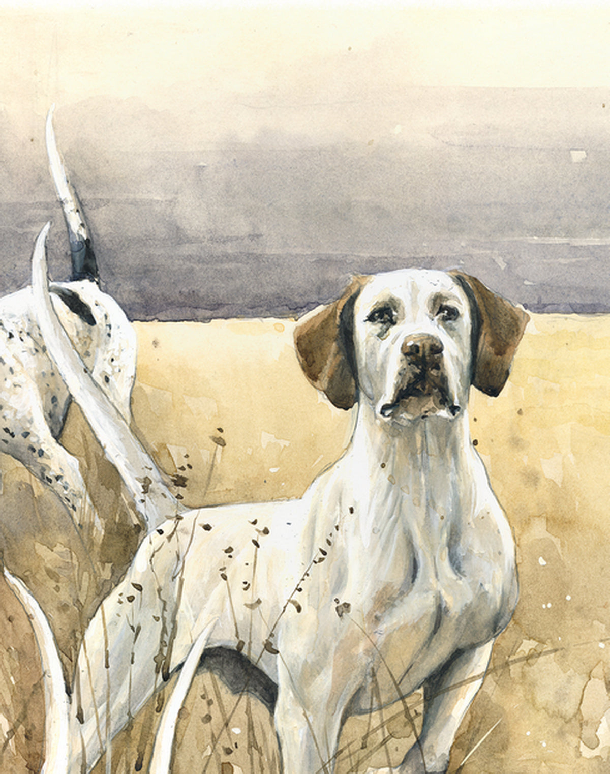 English Pointer - Siurha Art