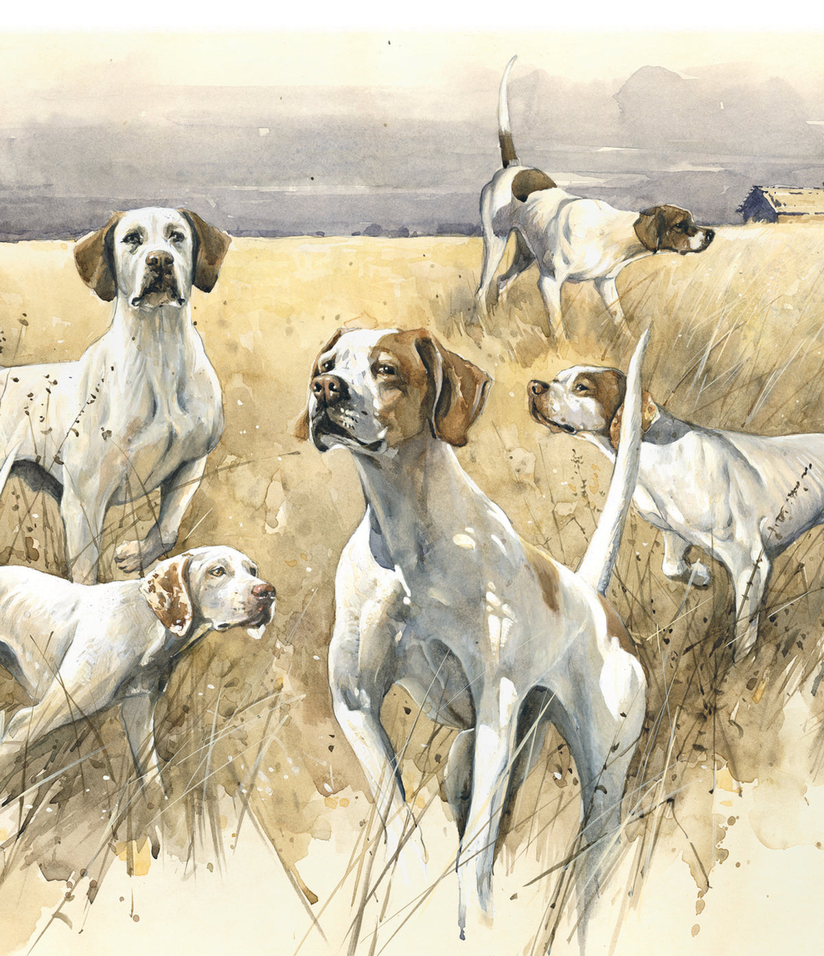 English Pointer - Siurha Art