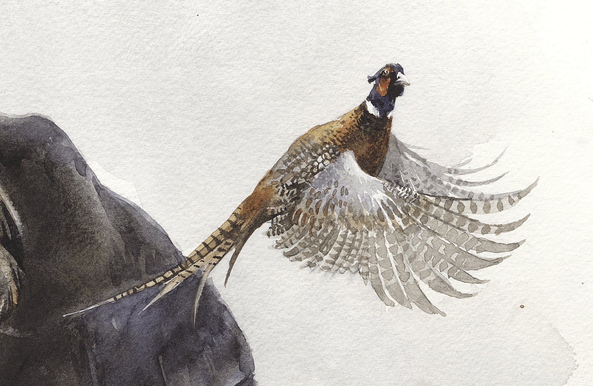 Author's print "Bird Hunting", animal art, Pudelpointer, Dog Art ...