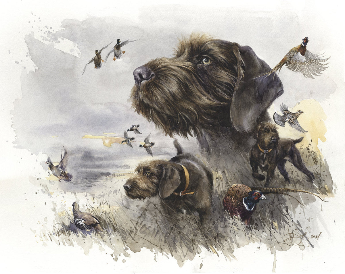 Author's print "Bird Hunting", animal art, Pudelpointer, Dog Art ...